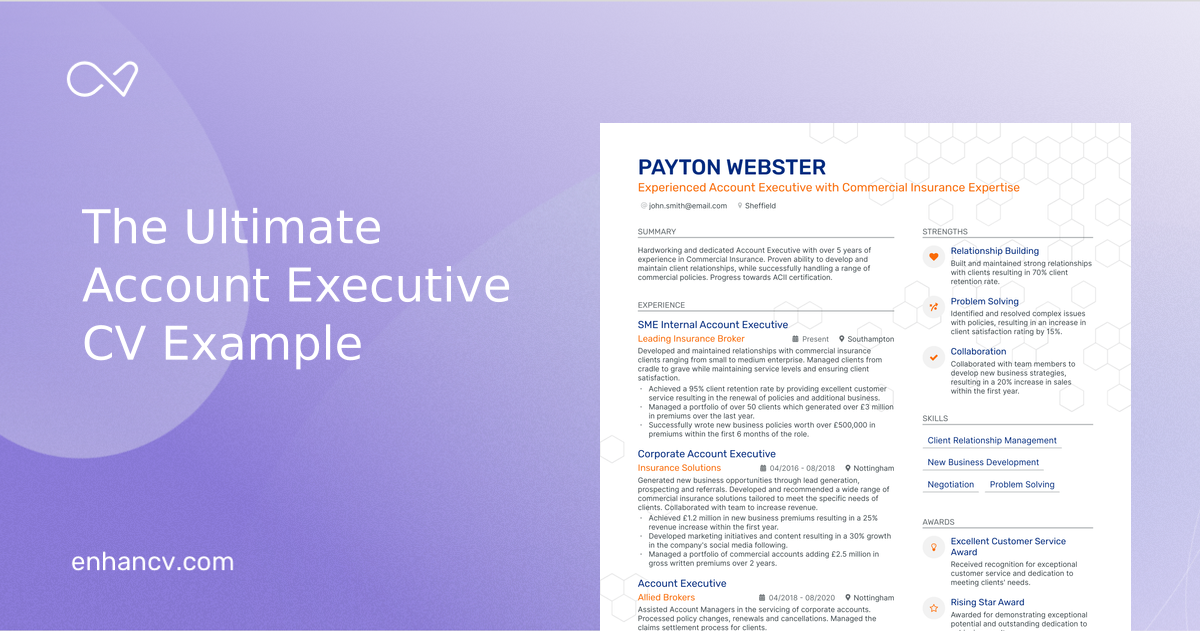 3 Account Executive CV Examples for 2023