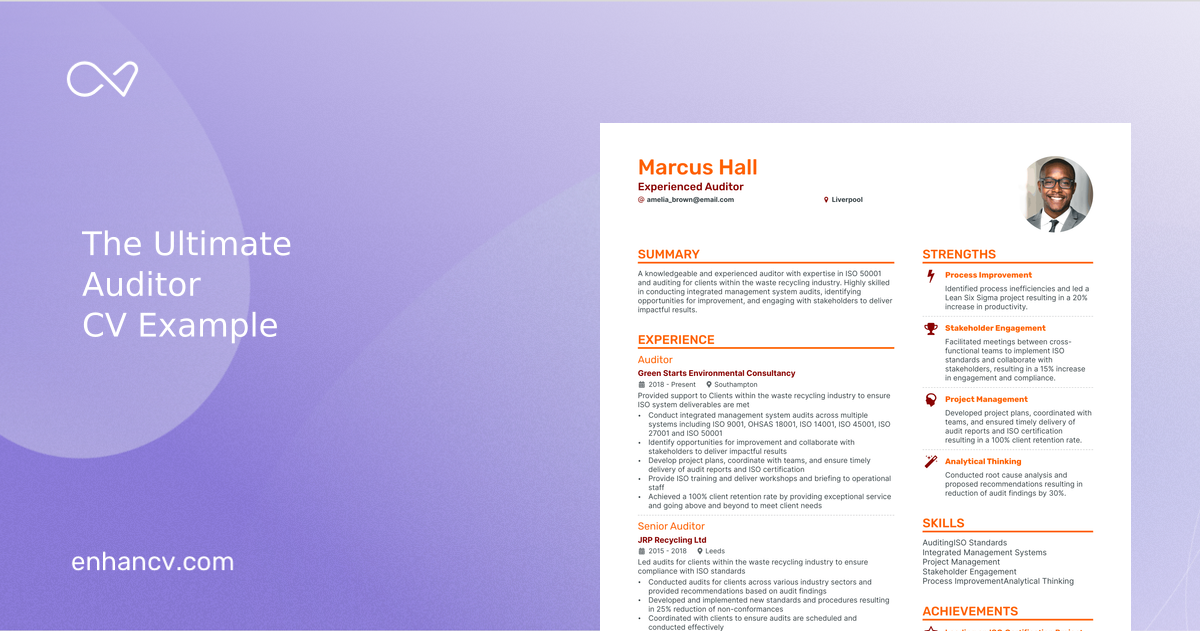 3 Auditor CV Examples for 2023