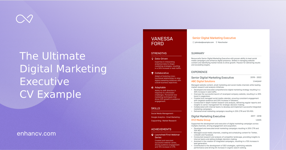 3 Digital Marketing Executive CV Examples For 2023
