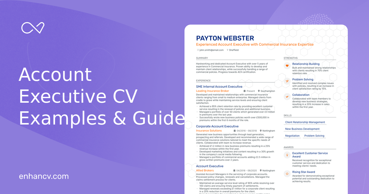 3 Account Executive CV Examples for 2024