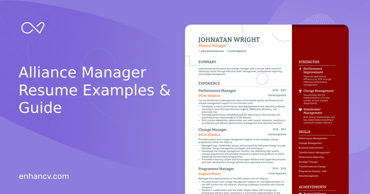 5 Alliance Manager Resume Examples & Guide for 2024