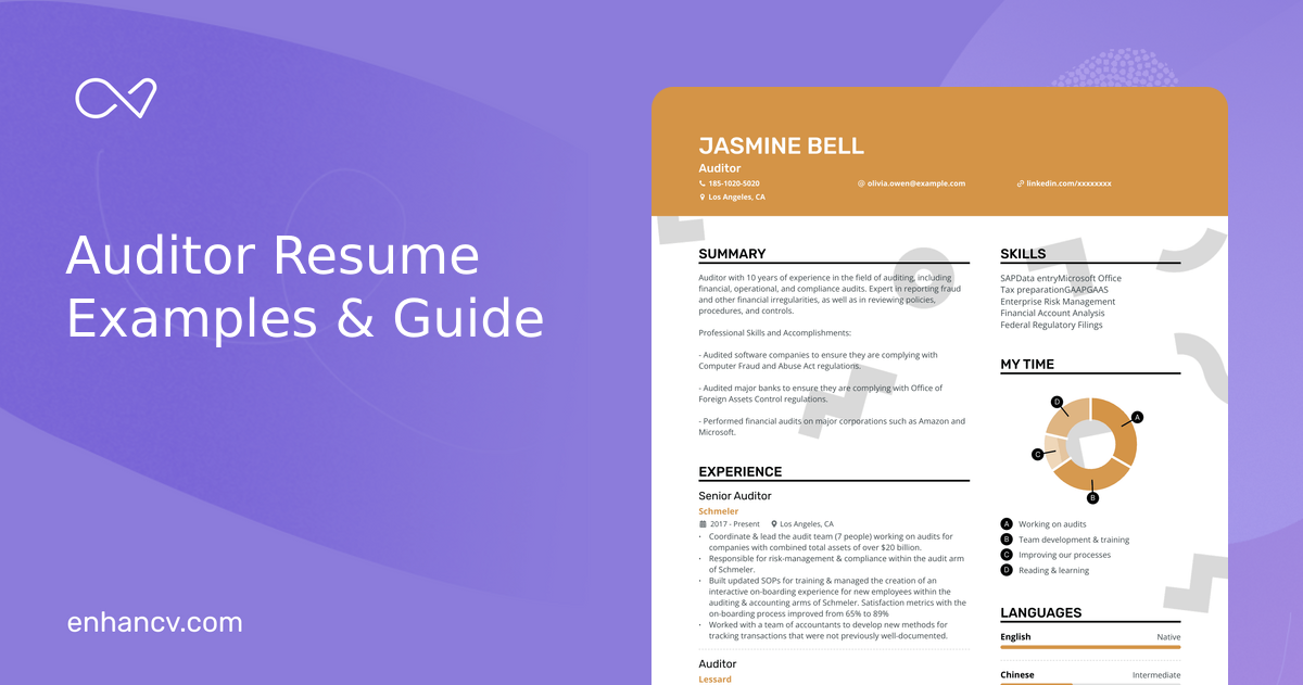 15 Auditor Resume Examples & Guide for 2024