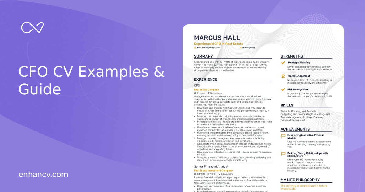 3 CFO CV Examples for 2024
