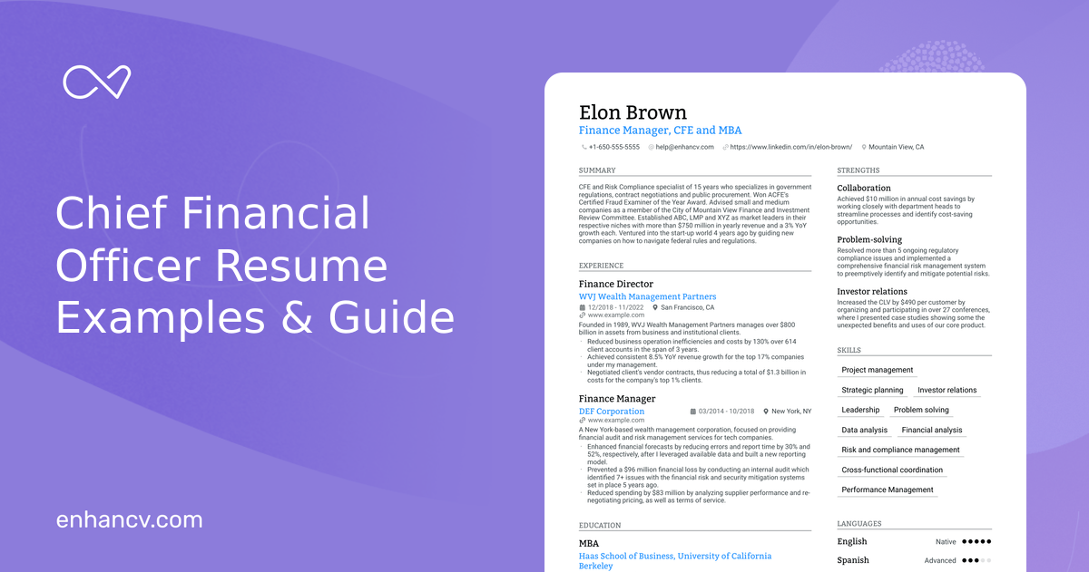 5 Chief Financial Officer Resume Examples - November 2024