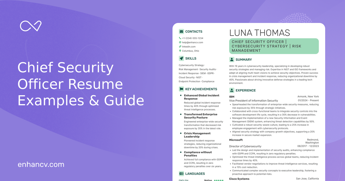 13 Chief Security Officer Resume Examples - 2026