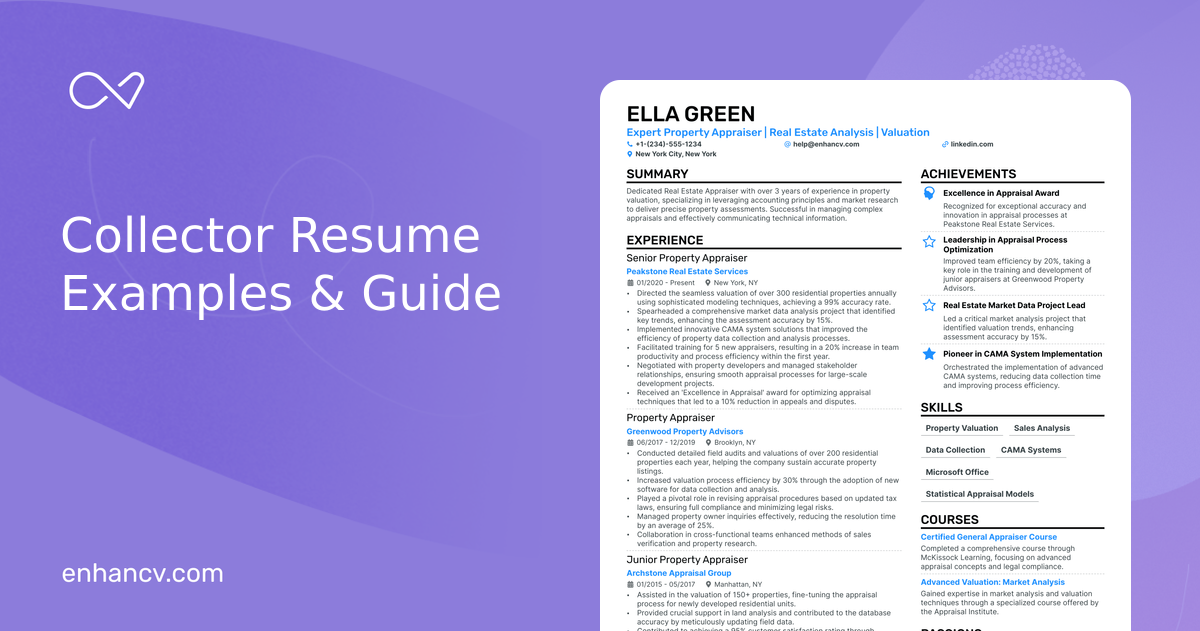 5 Collector Resume Examples & Guide for 2024