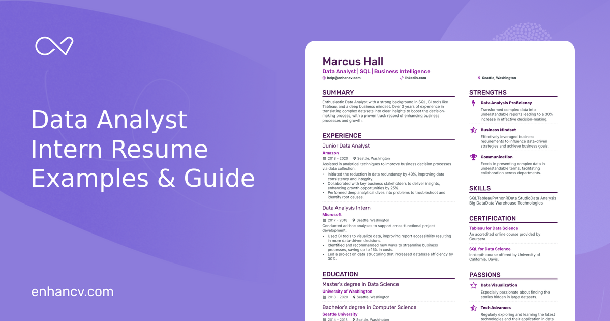 5 Data Analyst Intern Resume Examples & Guide for 2024