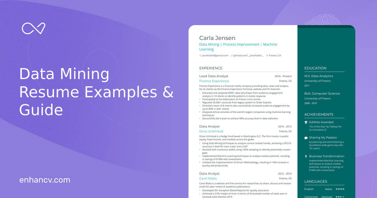 5 Data Mining Resume Examples & Guide for 2024
