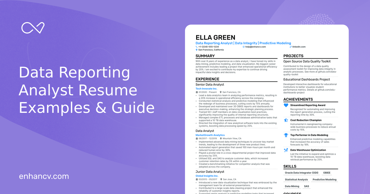 10 Data Reporting Analyst Resume Examples & Guide for 2024