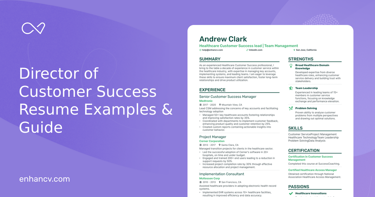 5 Director of Customer Success Resume Examples & Guide for 2024