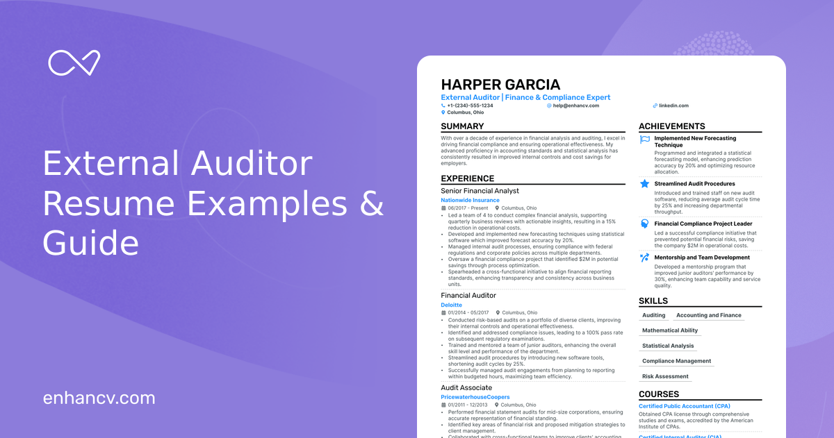 10 External Auditor Resume Examples & Guide for 2024