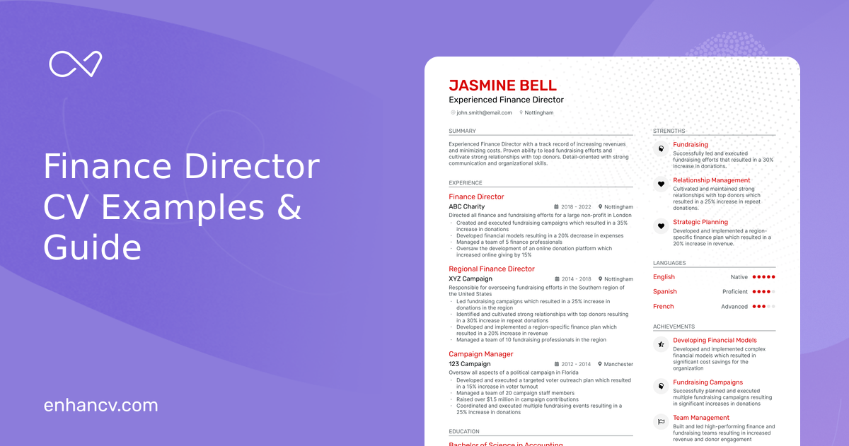 3 Finance Director CV Examples for 2024