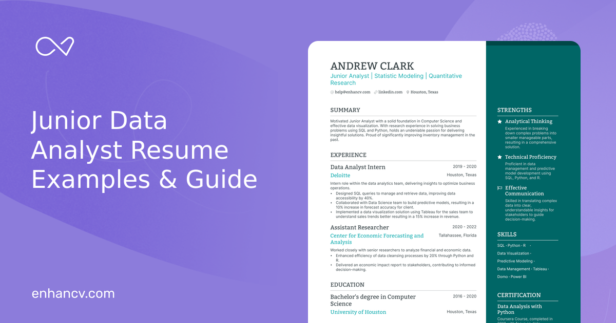 10 Junior Data Analyst Resume Examples & Guide for 2024