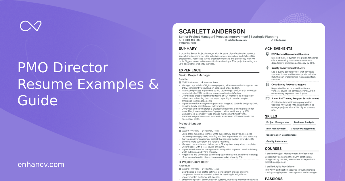 10 PMO Director Resume Examples & Guide for 2024
