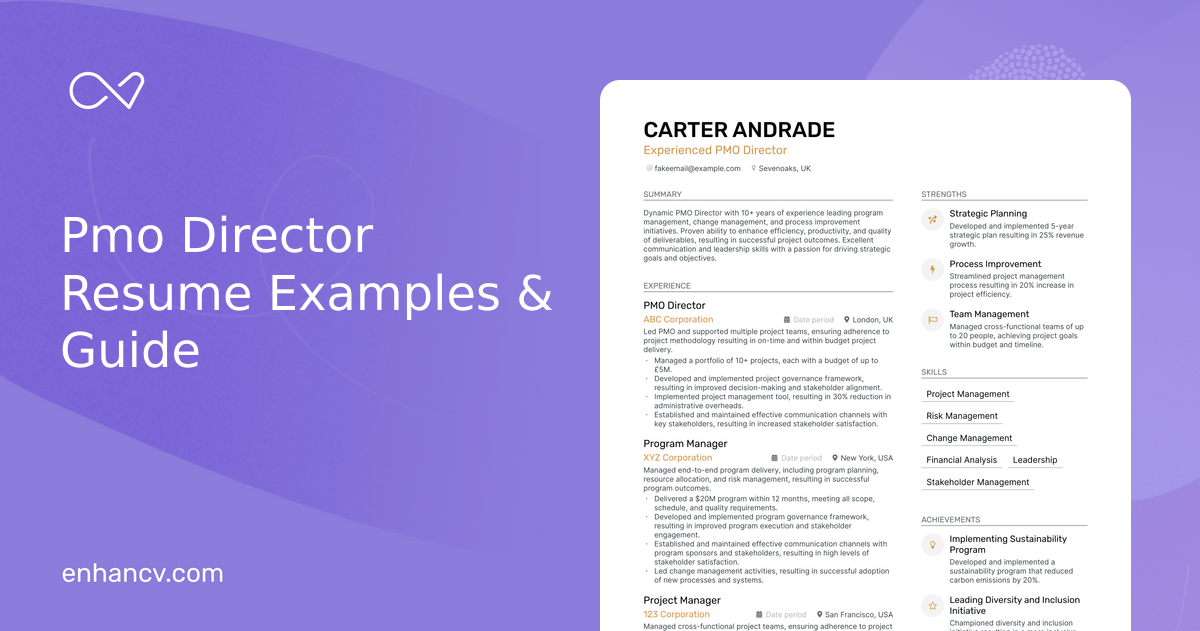 5 Pmo Director Resume Examples & Guide for 2024