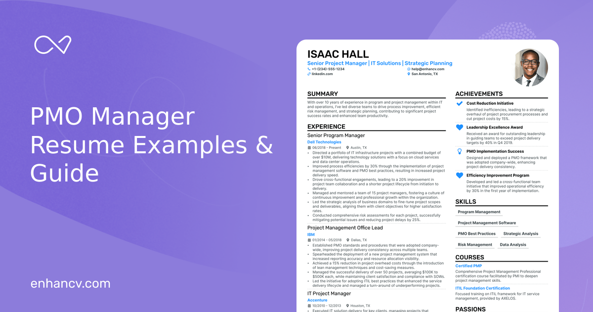 2 PMO Manager Resume Examples & Guide for 2024