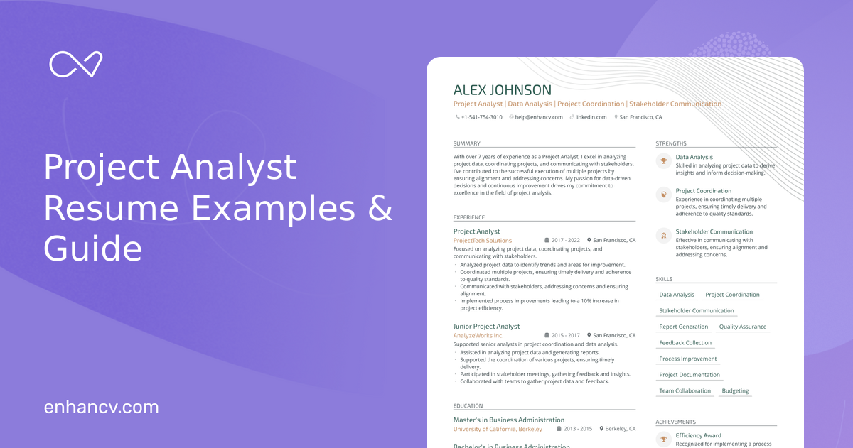 5 Project Analyst Resume Examples & Guide for 2024