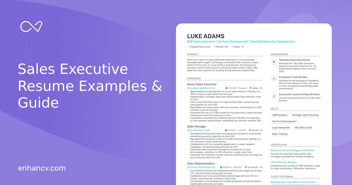 21 Sales Executive Resume Examples & Guide for 2026