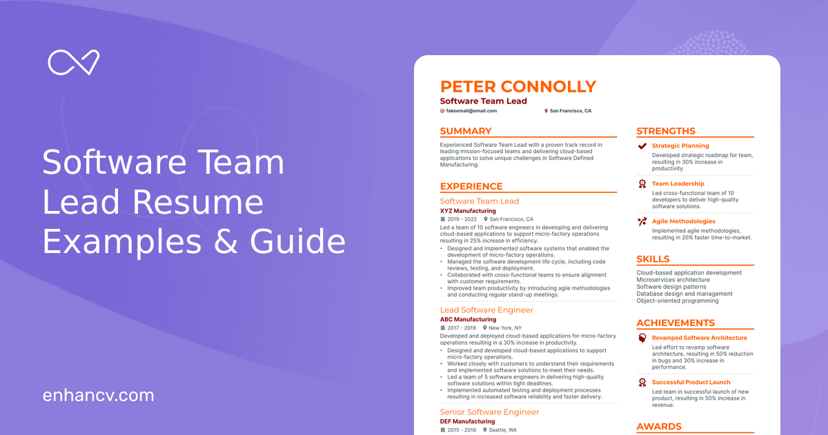 5 Software Team Lead Resume Examples & Guide for 2024